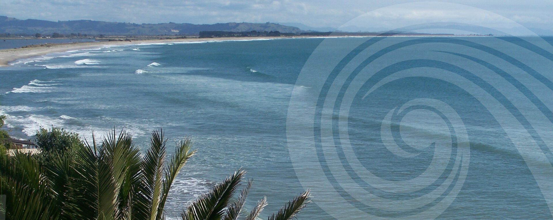 HOME | Tapuika Iwi Authority